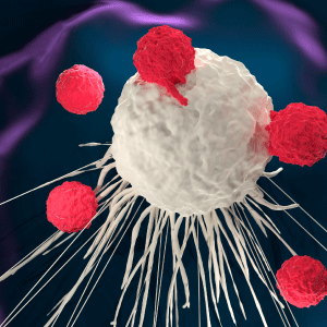 Ciltacabtagene Autoleucel Leads to High Response Rates in CARTITUDE-2 ...